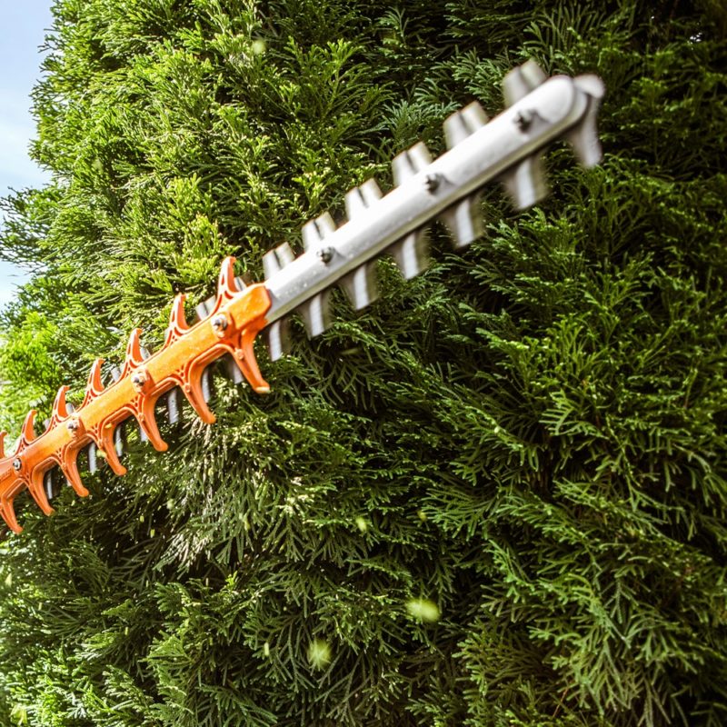 Hedge Trimmers - Towne Lake Outdoor Power Equipment